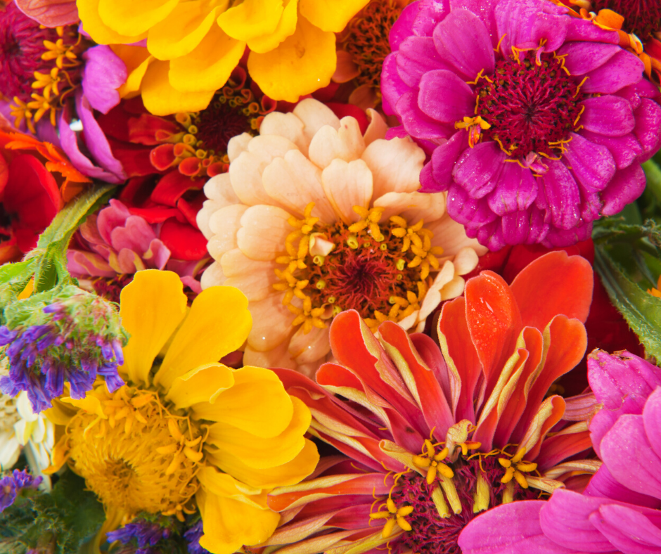 19 – Sweet Elizabeth’s Bake Shop